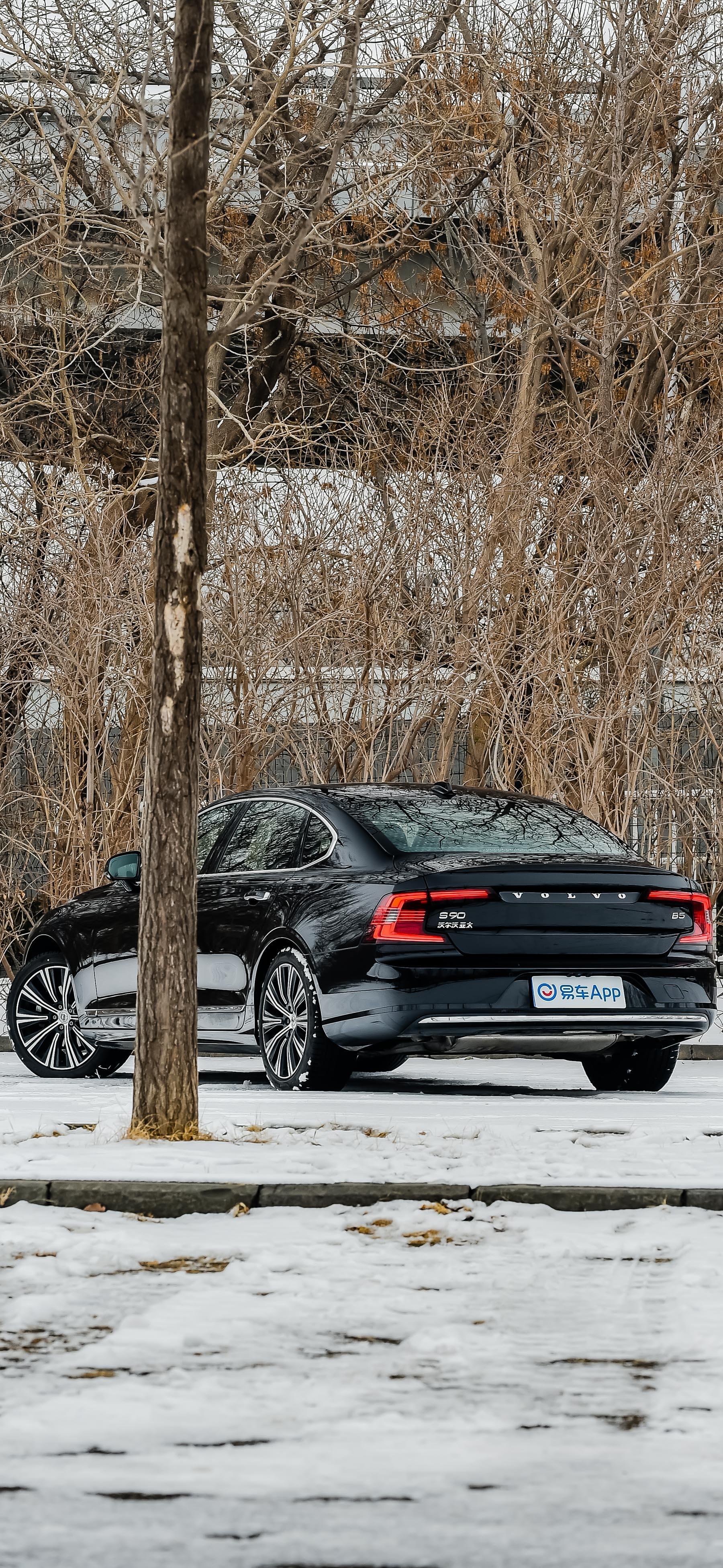 【沃尔沃S90B5 智雅豪华版图片-汽车图片大全】-易车