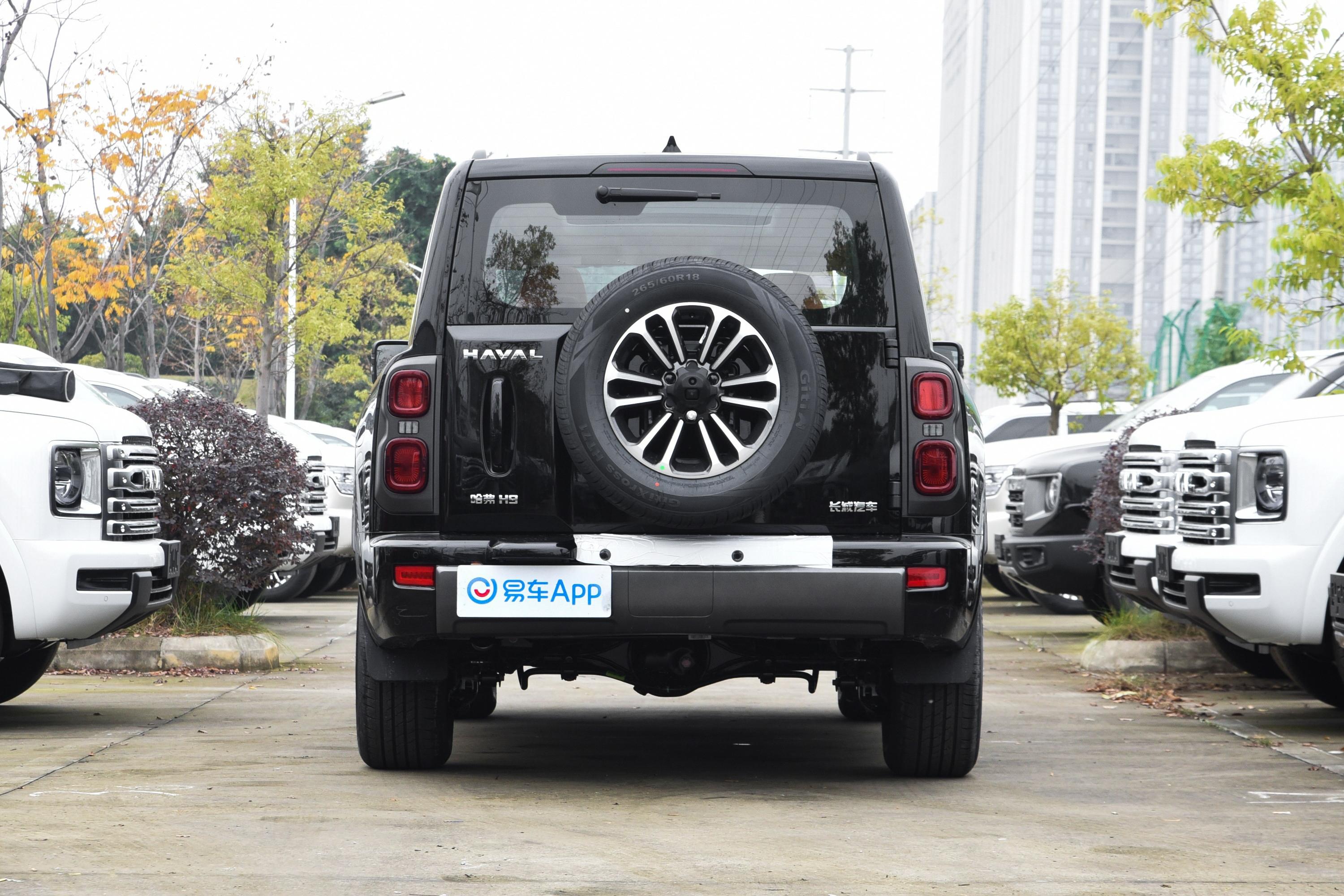 【哈弗H92.4T 拓境版 5座 柴油正后水平图片-汽车图片大全】-易车