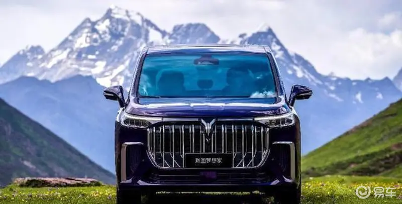 2024年MVP销量榜：腾势D9夺冠，GL8第2，赛那前3，MEGA逆袭！_易车