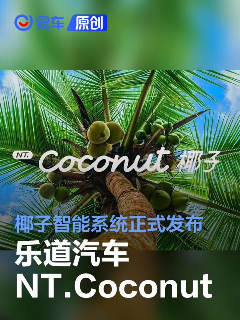 乐道汽车发布NT.Coconut椰子智能系统 智能驾驶OSD同步首发_易车